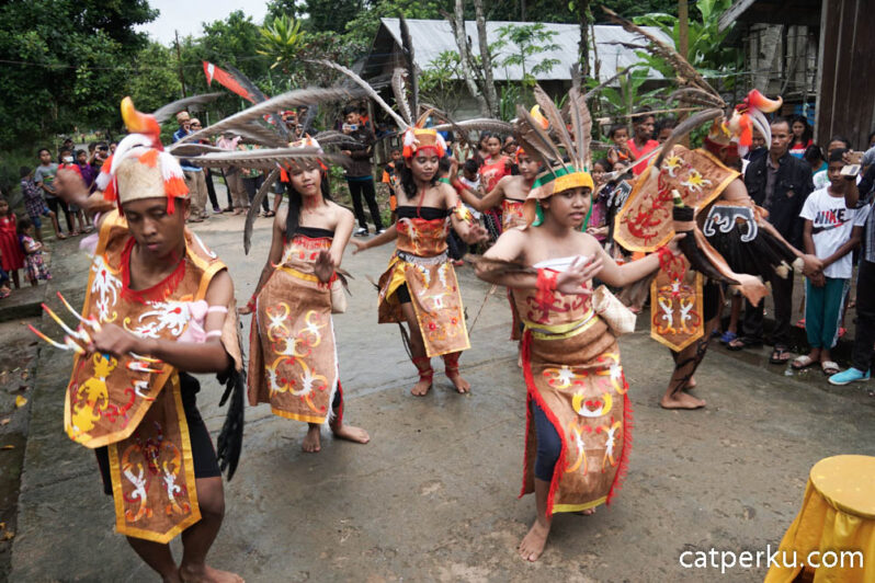 Jenis Tari Tarian Adat Suku Dayak dari Daerah Kalimantan