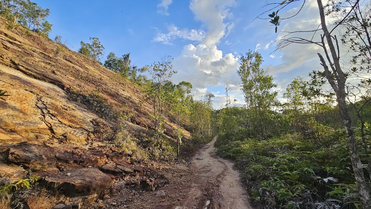 Panduan Lengkap Wisata Tasek Lama Recreational Park Di 2026