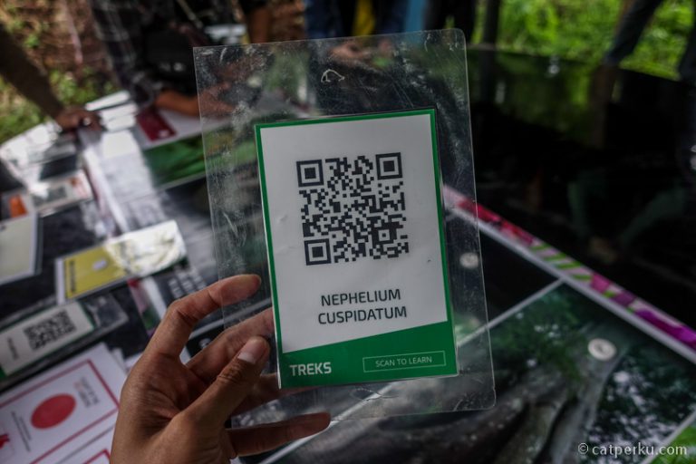Liburan ke Genting Highlands Malaysia Di 2025 Enaknya Ngapain?