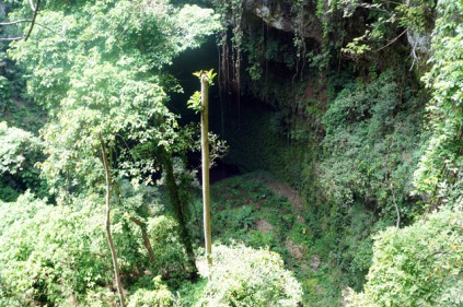 Goa Jomblang Cave, Tempat Bertualang Di Gunungkidul